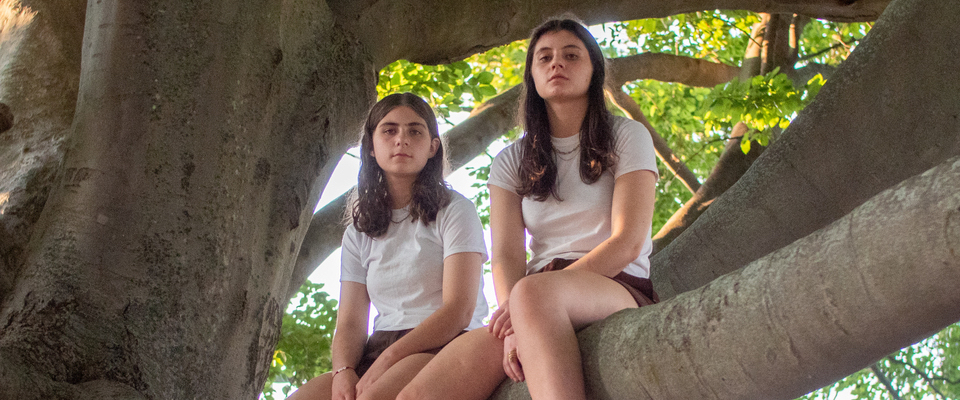 Interview – Circus Trees - EXITMUSIK